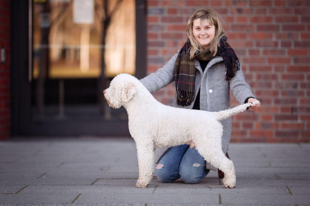 Can A Lagotto Romagnolo Live In Denmark